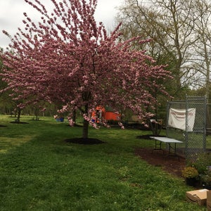 Overbrook, Philadelphia PA - Neighborhood Guide | Trulia