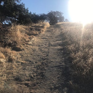 Almaden Valley, San Jose CA - Neighborhood Guide | Trulia