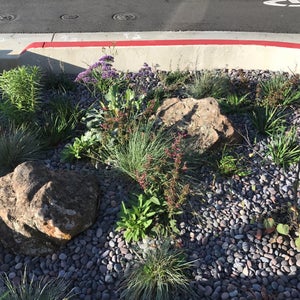 Ingleside, San Francisco CA - Neighborhood Guide | Trulia