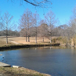 Allandale, Austin TX - Neighborhood Guide | Trulia