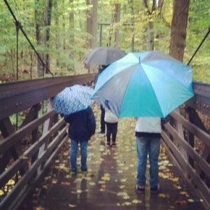 Merriman Valley, Akron OH - Neighborhood Guide | Trulia