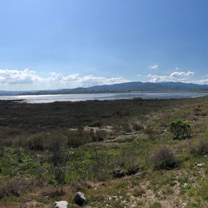 Hamilton, Novato CA - Neighborhood Guide | Trulia