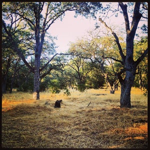 Almaden Valley, San Jose CA - Neighborhood Guide | Trulia