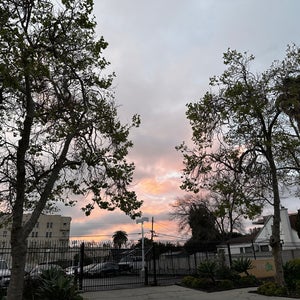 Mid City, Los Angeles CA - Neighborhood Guide | Trulia