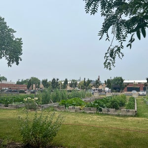 Tri-Taylor, Chicago IL - Neighborhood Guide | Trulia