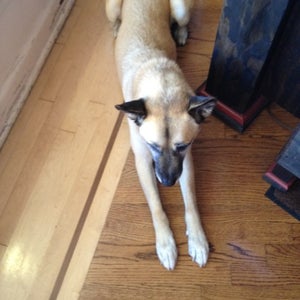 Ingleside, San Francisco CA - Neighborhood Guide | Trulia