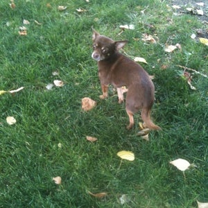 Mar Lee, Denver CO - Neighborhood Guide | Trulia