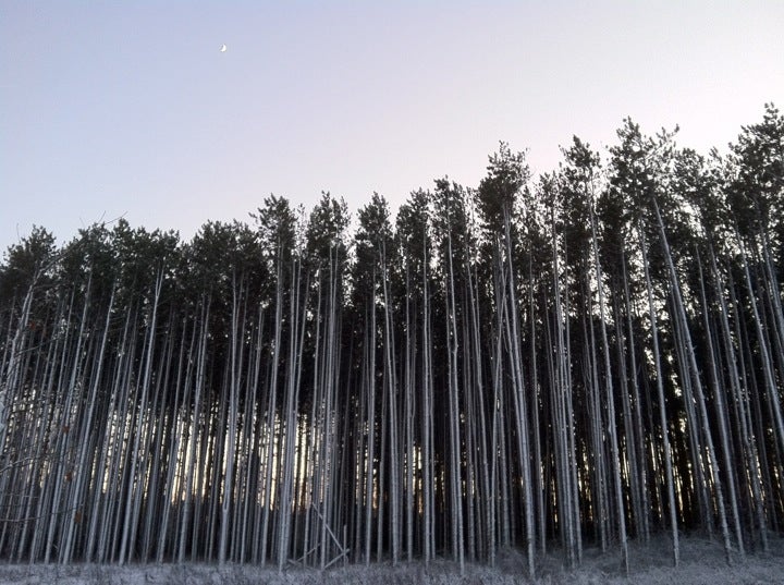 Commerce Township, MI Map & Directions - MapQuest