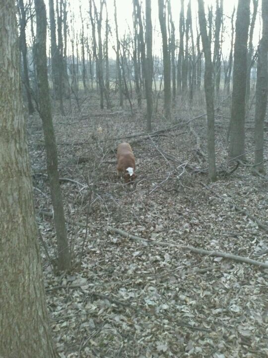 Howard, WI Map & Directions - MapQuest