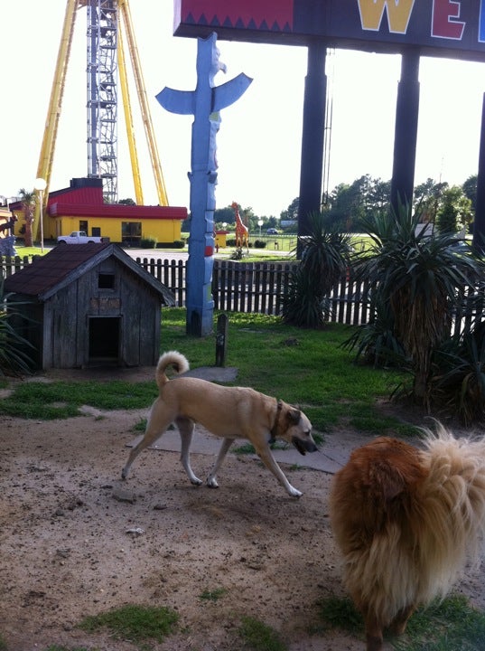 Hamer, SC Map & Directions - MapQuest