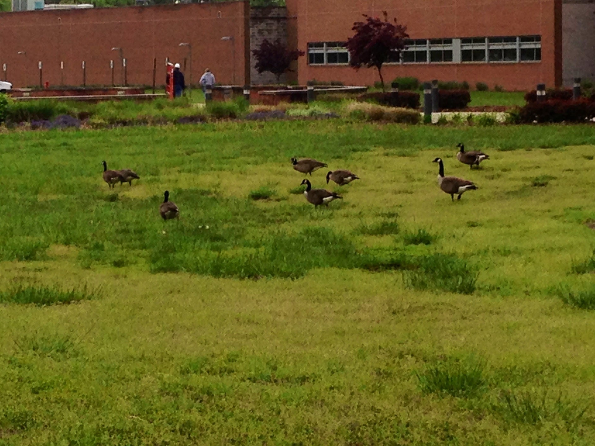 NASA GSFC Building 33, Greenbelt, MD, Government - MapQuest
