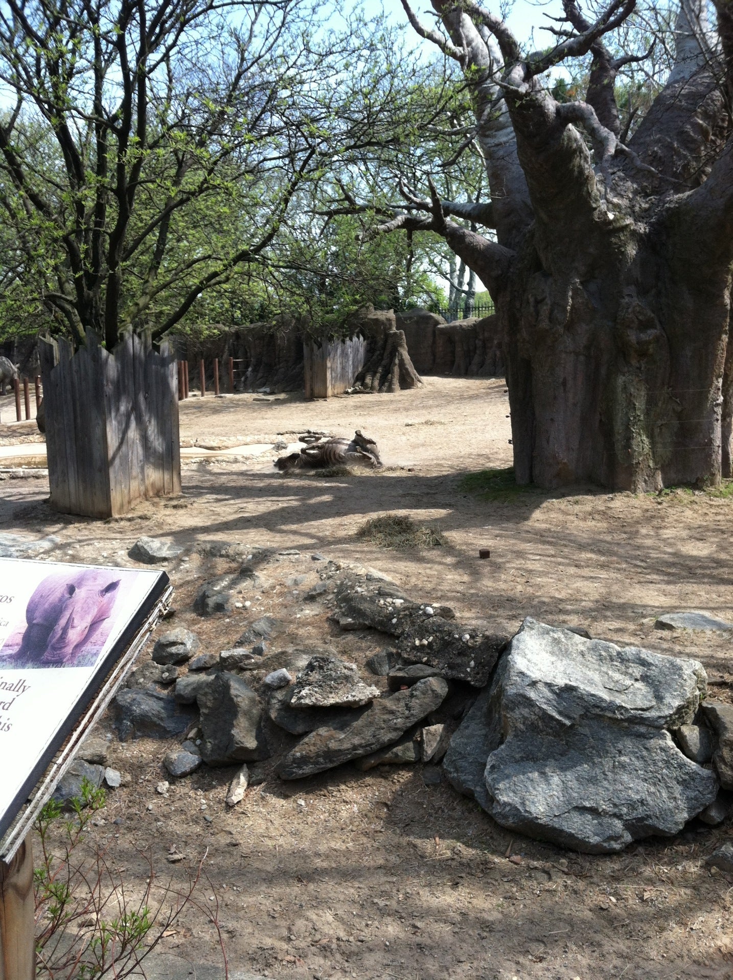 Zebra Exhibit, 3400 W Girard Ave, Philadelphia, PA - MapQuest