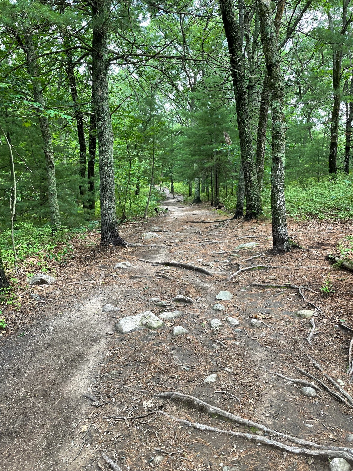 Dover, MA Map & Directions - MapQuest