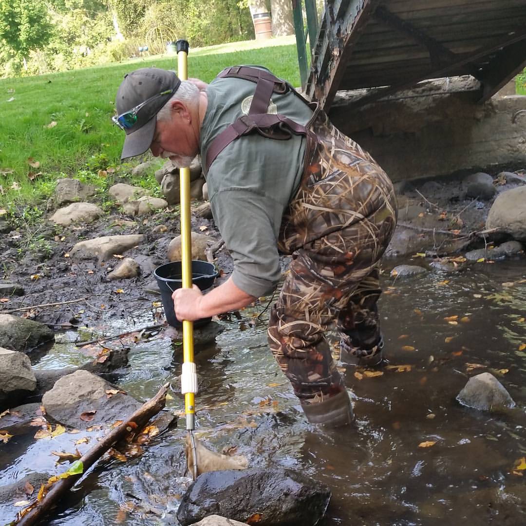 Springport, MI Map & Directions - MapQuest