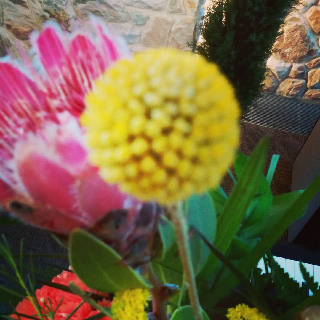 Jorge A Garcia MD - Florida Hospital Medical Group, 2501 N Orange Ave ...