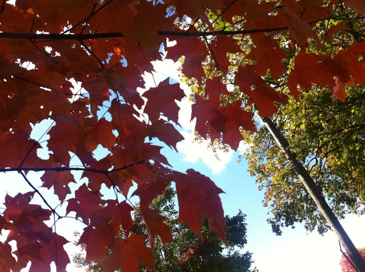 Memorial Park, Spring Valley Rd, Maywood, NJ - MapQuest