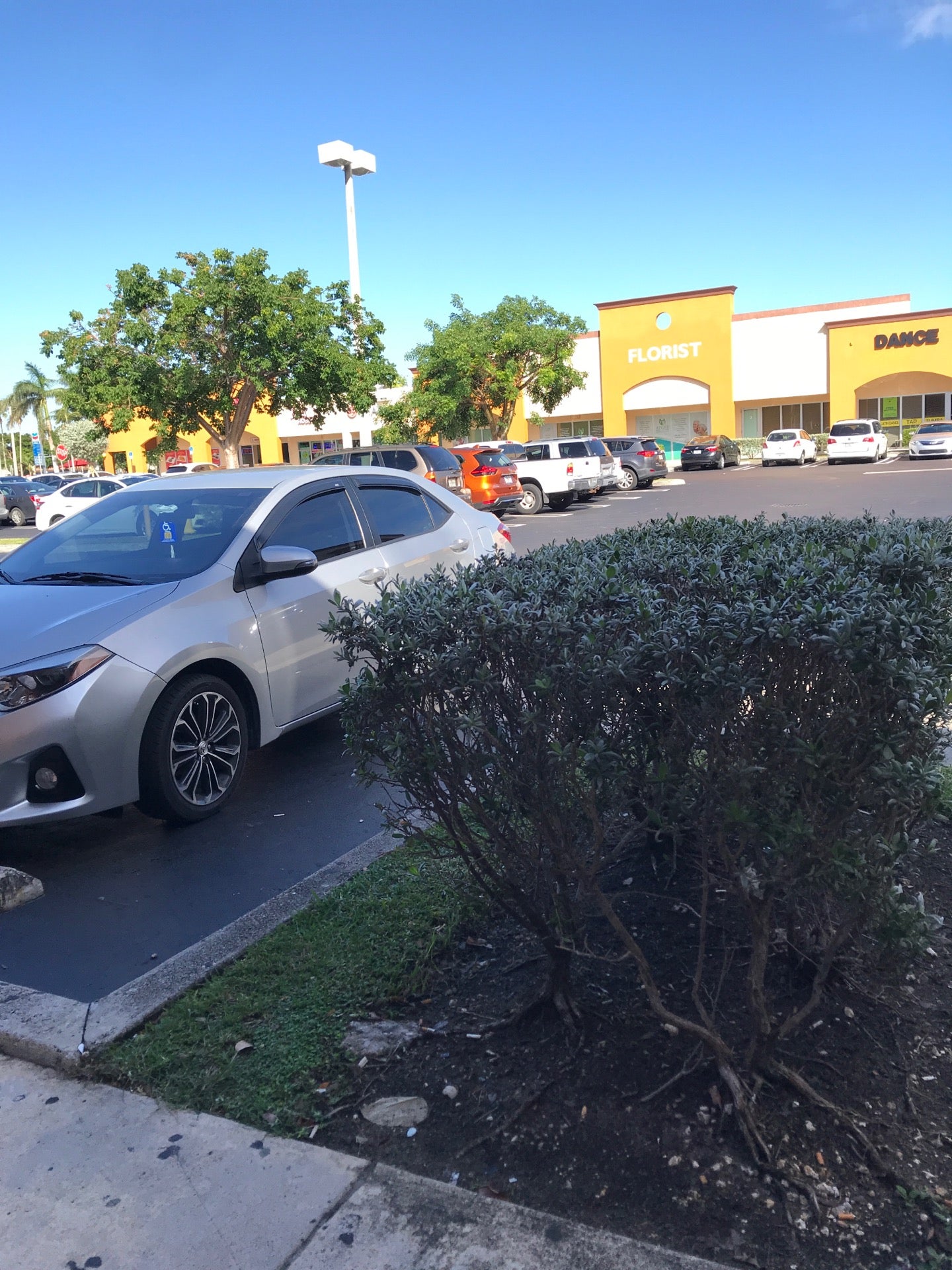 Driver License Service Center, 11735 SW 147th Ave, Miami, FL ...