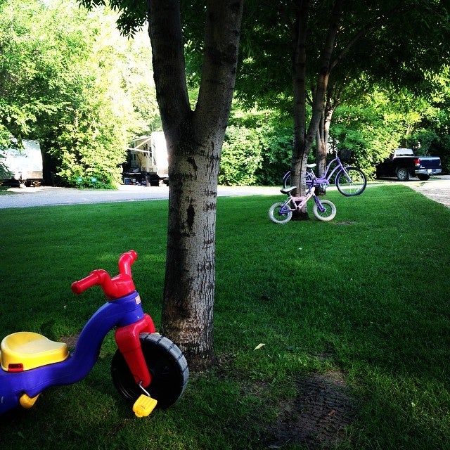 Indigo, 3322 8th St E, Saskatoon, SK - MapQuest