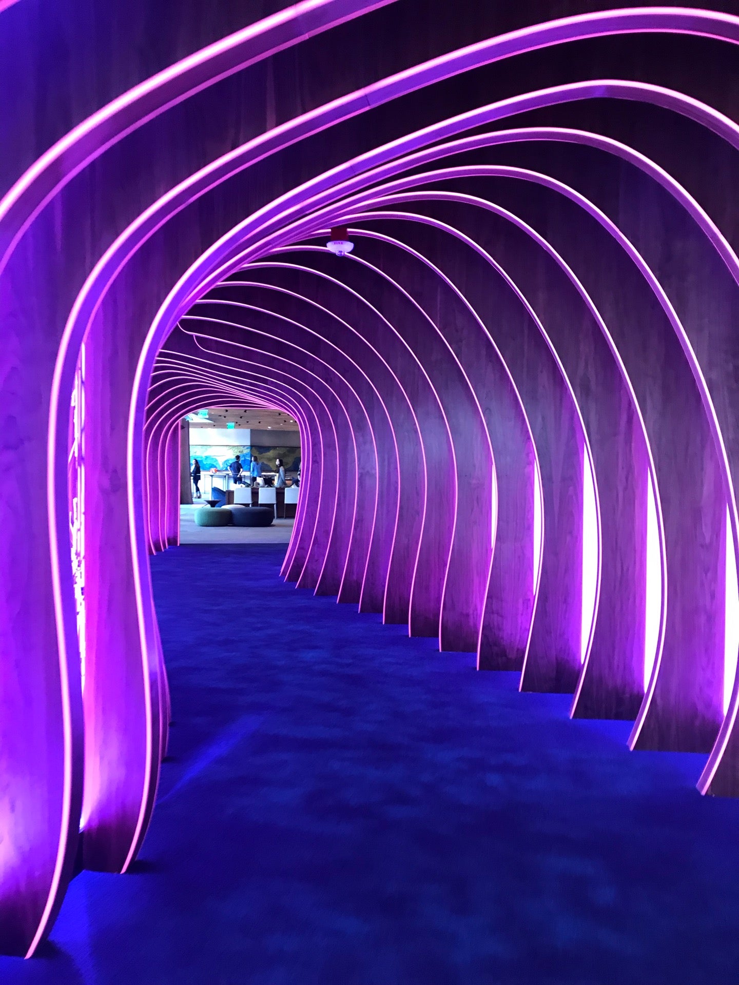 The Grove, Google Experience Center, 1900 Seaport Blvd, Redwood City ...