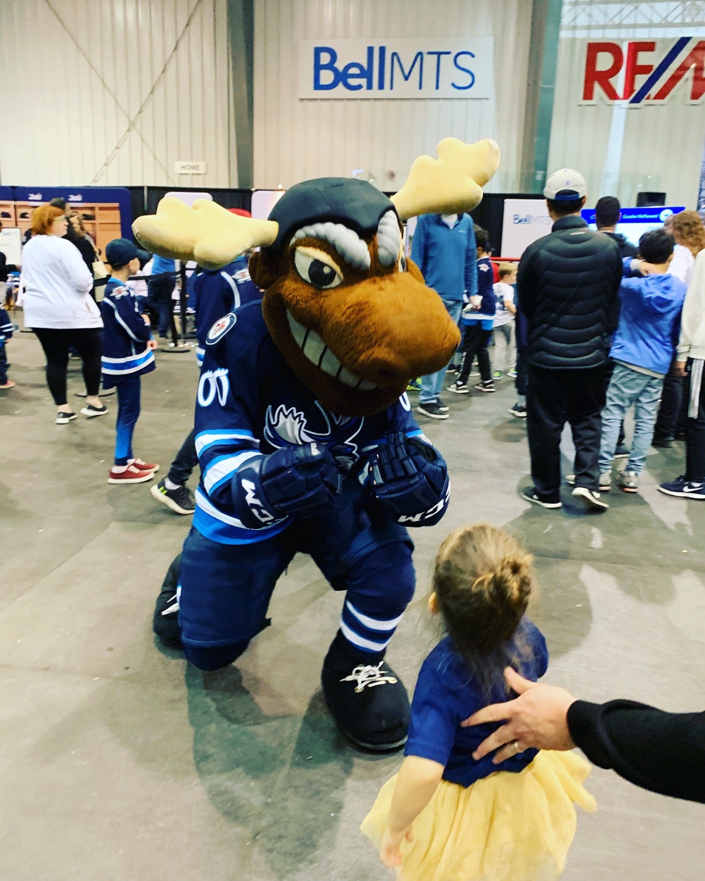 MTS Iceplex, 3969 Portage Ave, Winnipeg, MB - MapQuest