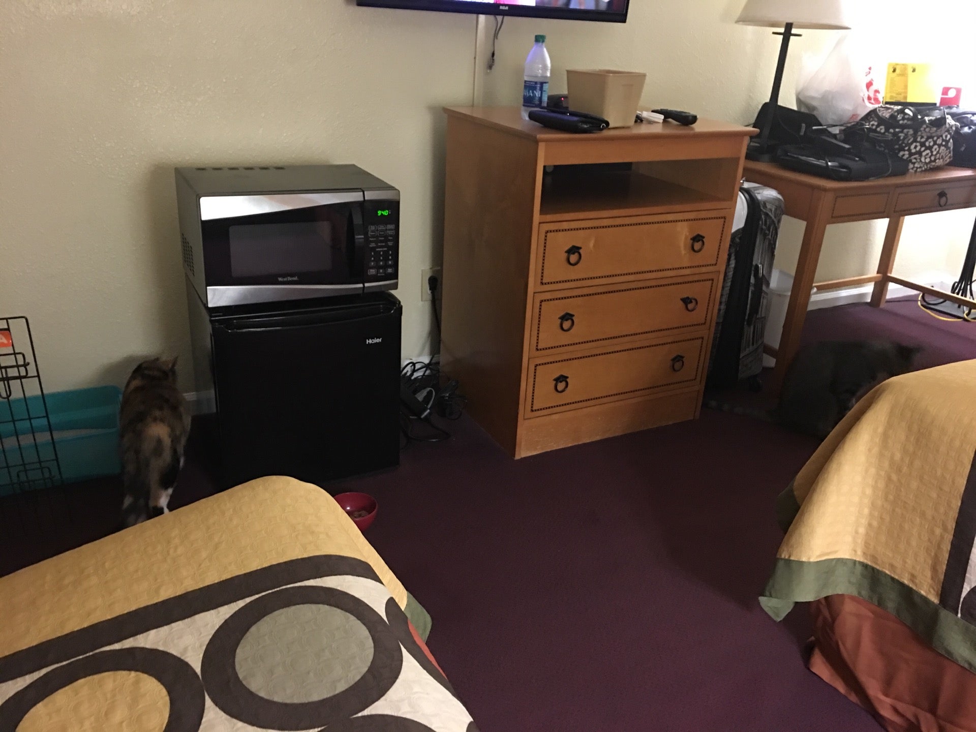 Alcolu, SC Map & Directions - MapQuest