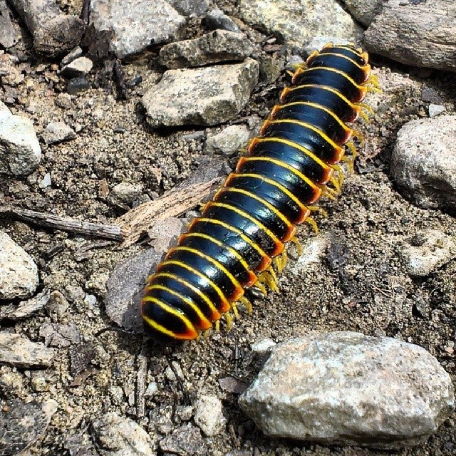 Poca, WV Map & Directions - MapQuest