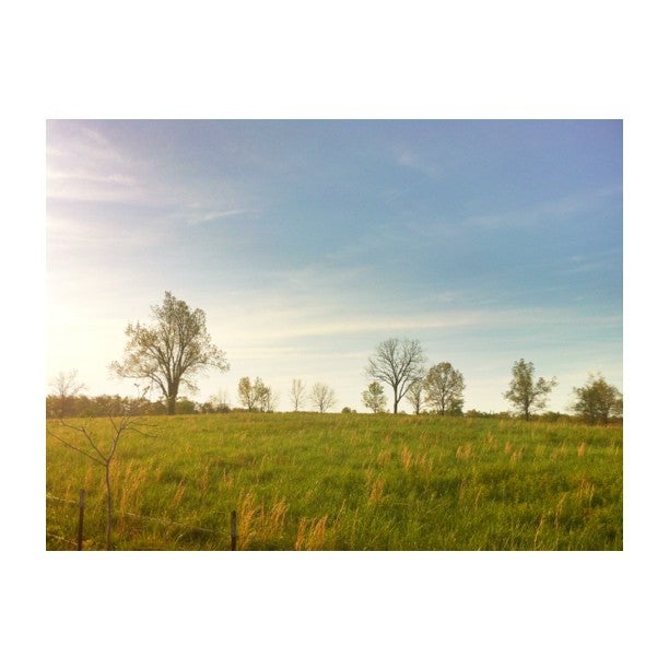 Melbourne, AR Map & Directions - MapQuest