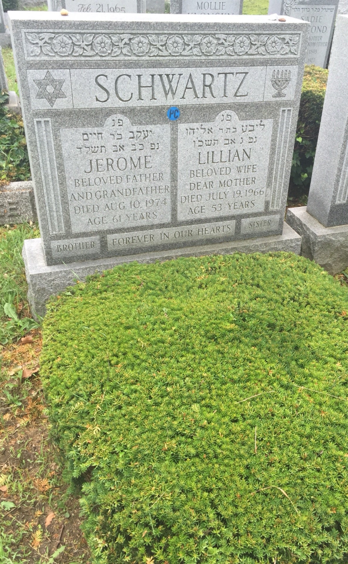 Beth David Cemetery, 300 Elmont Rd, Elmont, NY, Cemeteries - MapQuest