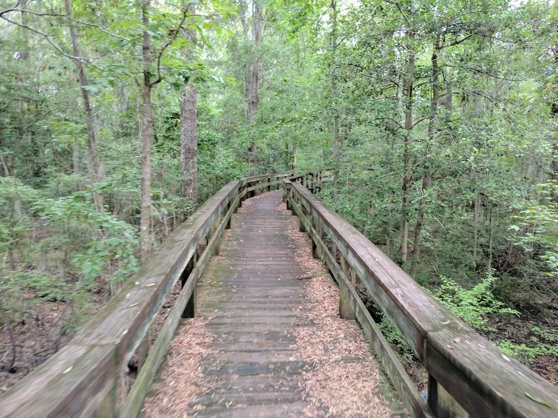 Pack's Landing/Computer, 9890 Packs Landing Rd, Pinewood, SC - MapQuest