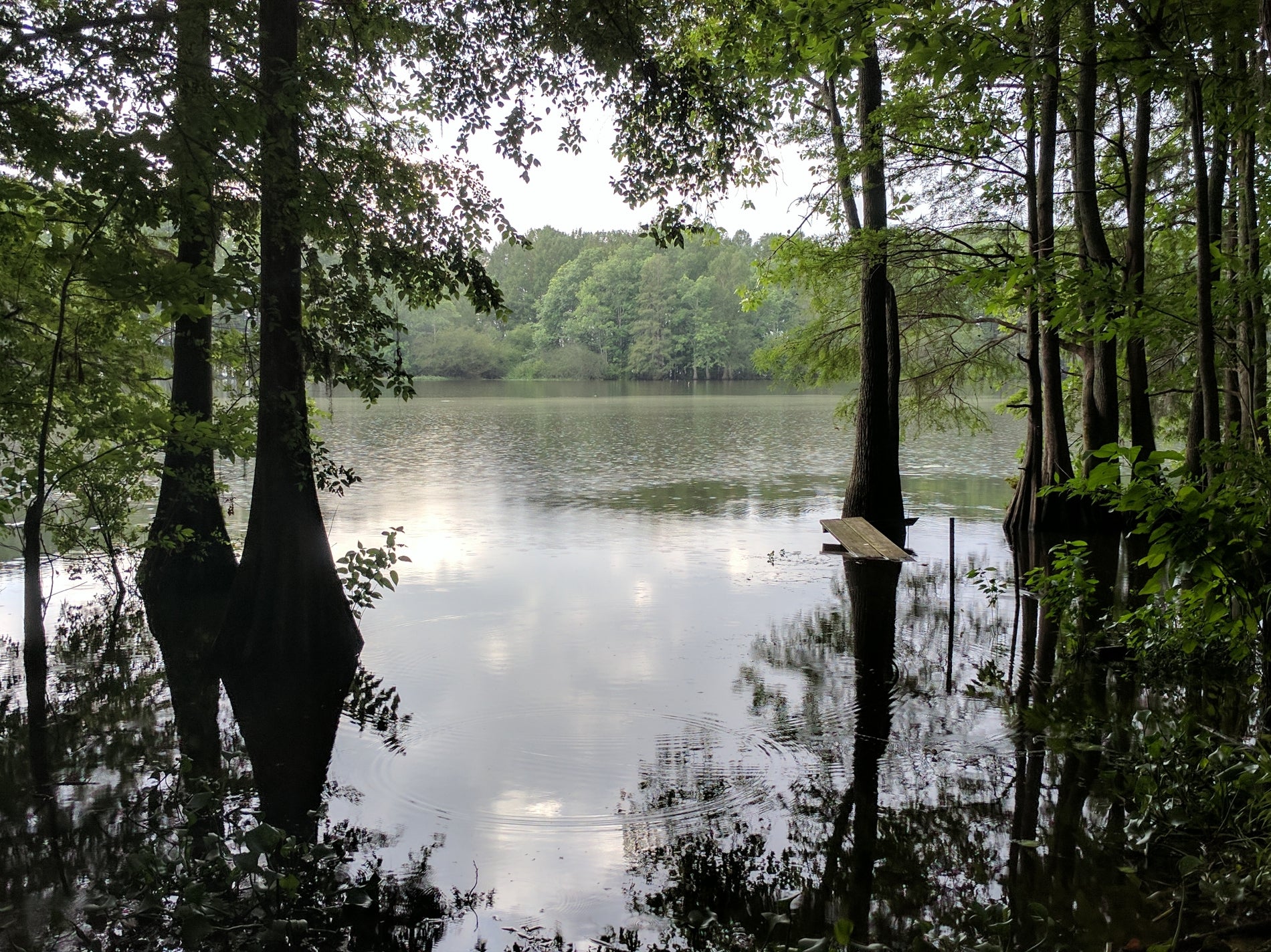 Pack's Landing/Computer, 9890 Packs Landing Rd, Pinewood, SC - MapQuest