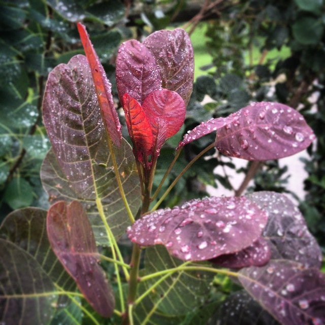 Three Rivers, MI Map & Directions - MapQuest