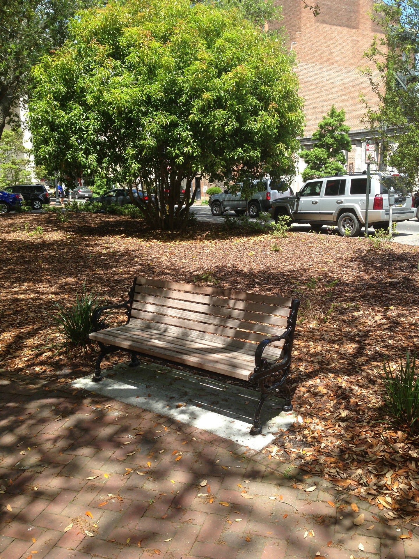 Forrest Gump's Bench, Chippewa Square, Savannah, GA - MapQuest