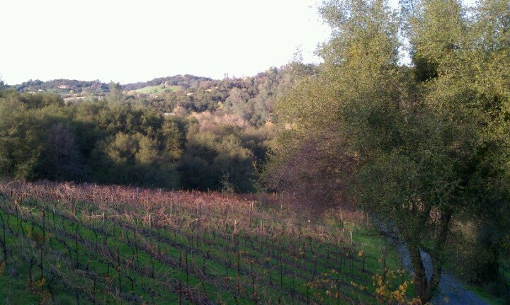 Newcastle, CA Map & Directions - MapQuest