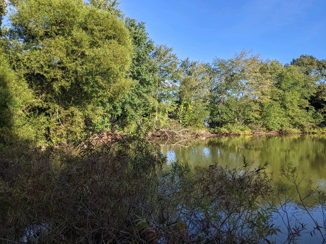 Crystal Spring Lake, Crystal Ave, Monroe Twp, NJ - MapQuest