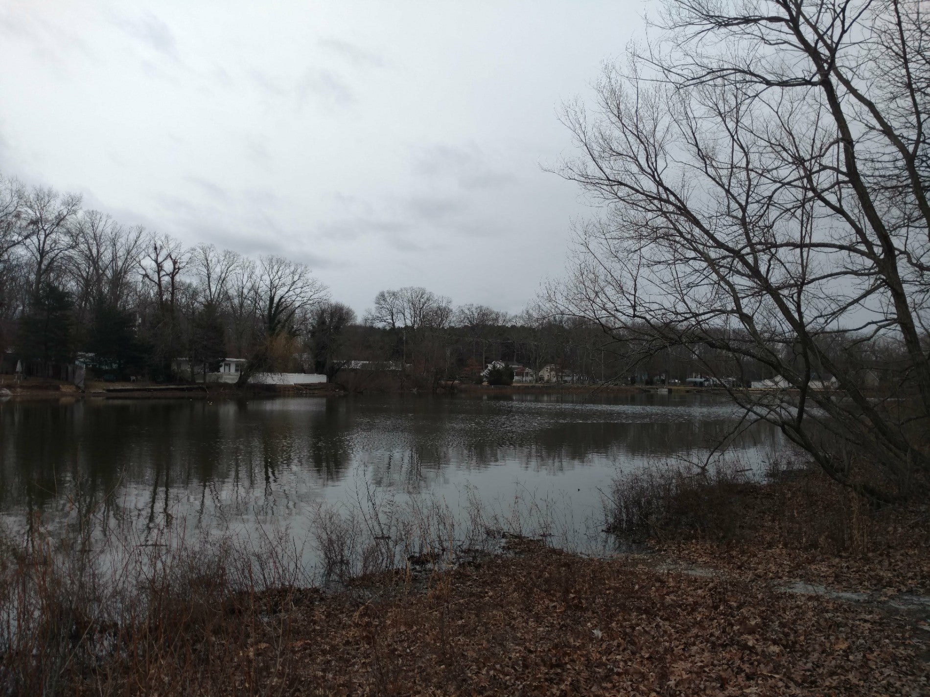 Crystal Spring Lake, Crystal Ave, Monroe Twp, NJ - MapQuest