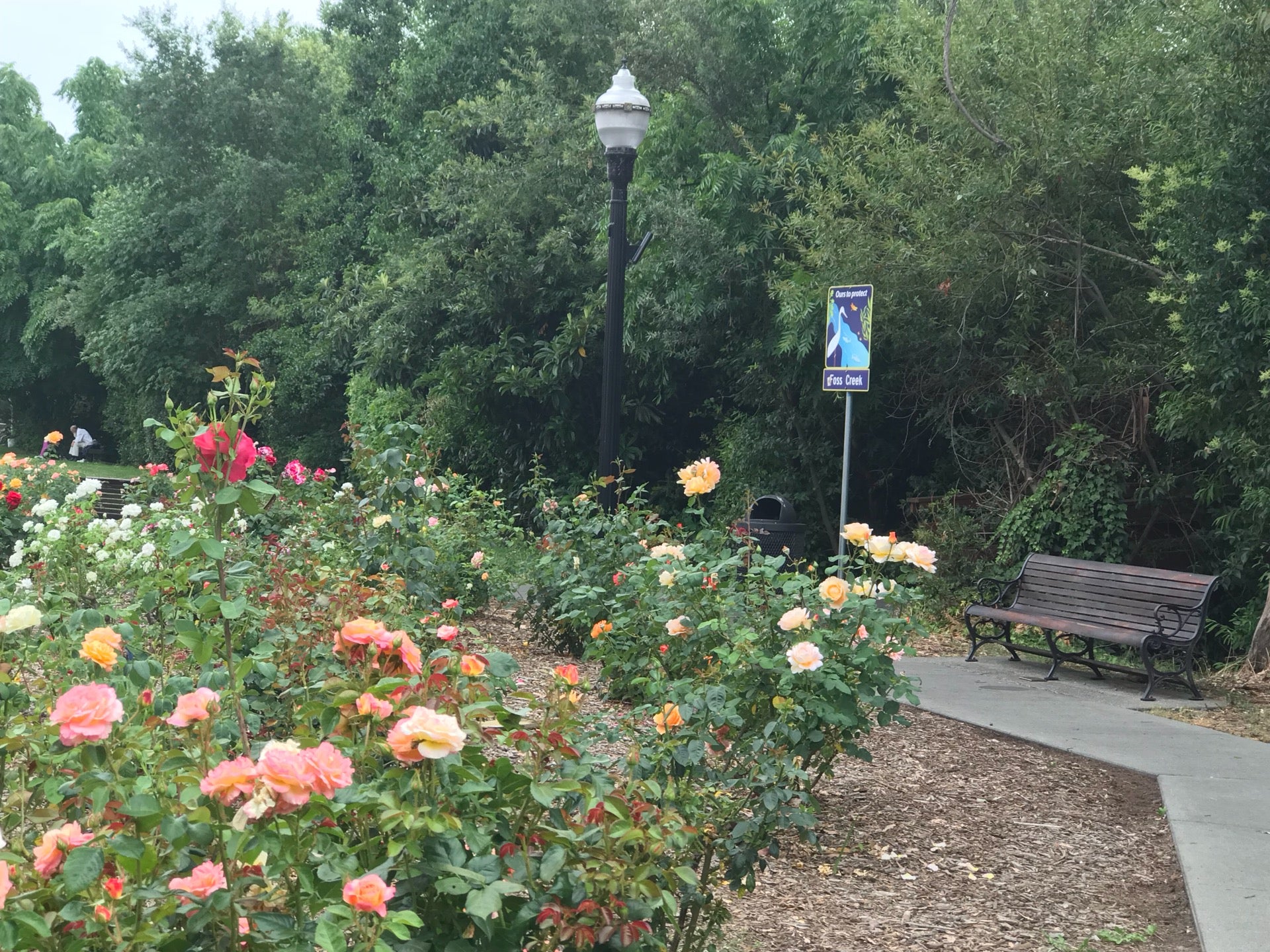 Foss Creek Pathway, S University St, Healdsburg, CA - MapQuest