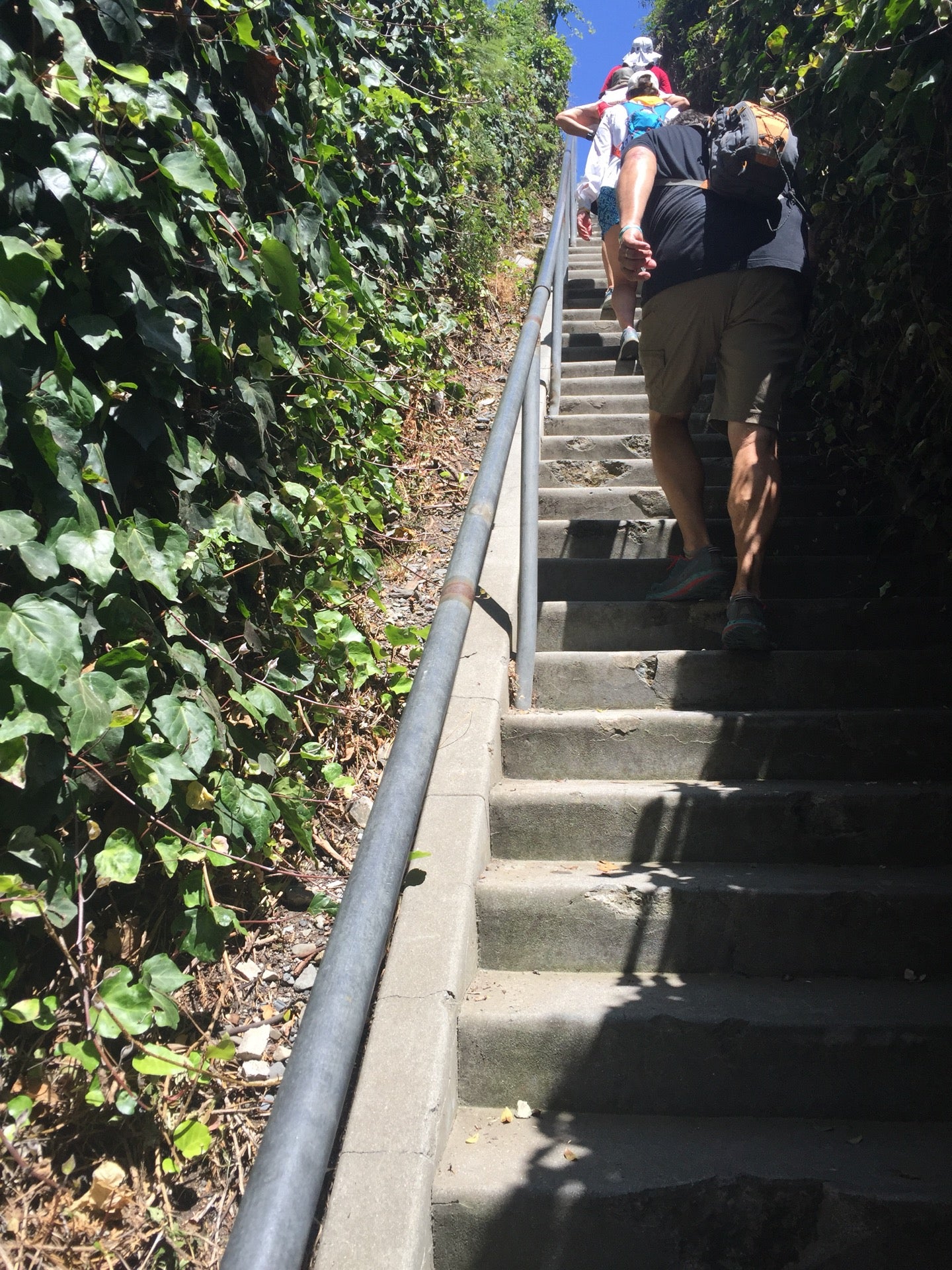 Palisades Stairs, Pacific Palisades, CA, Trail - MapQuest