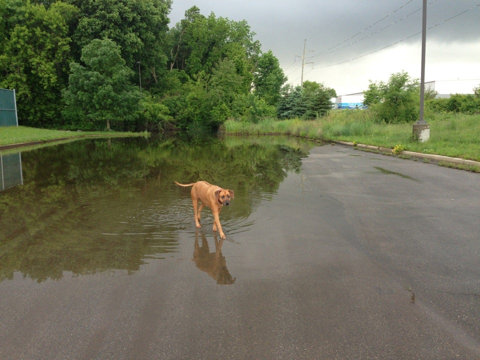 Clive, IA Map & Directions - MapQuest