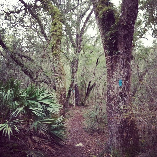 Ross Prairie Trailhead, 10660 SW Hwy 200, Dunnellon, FL, Campgrounds ...