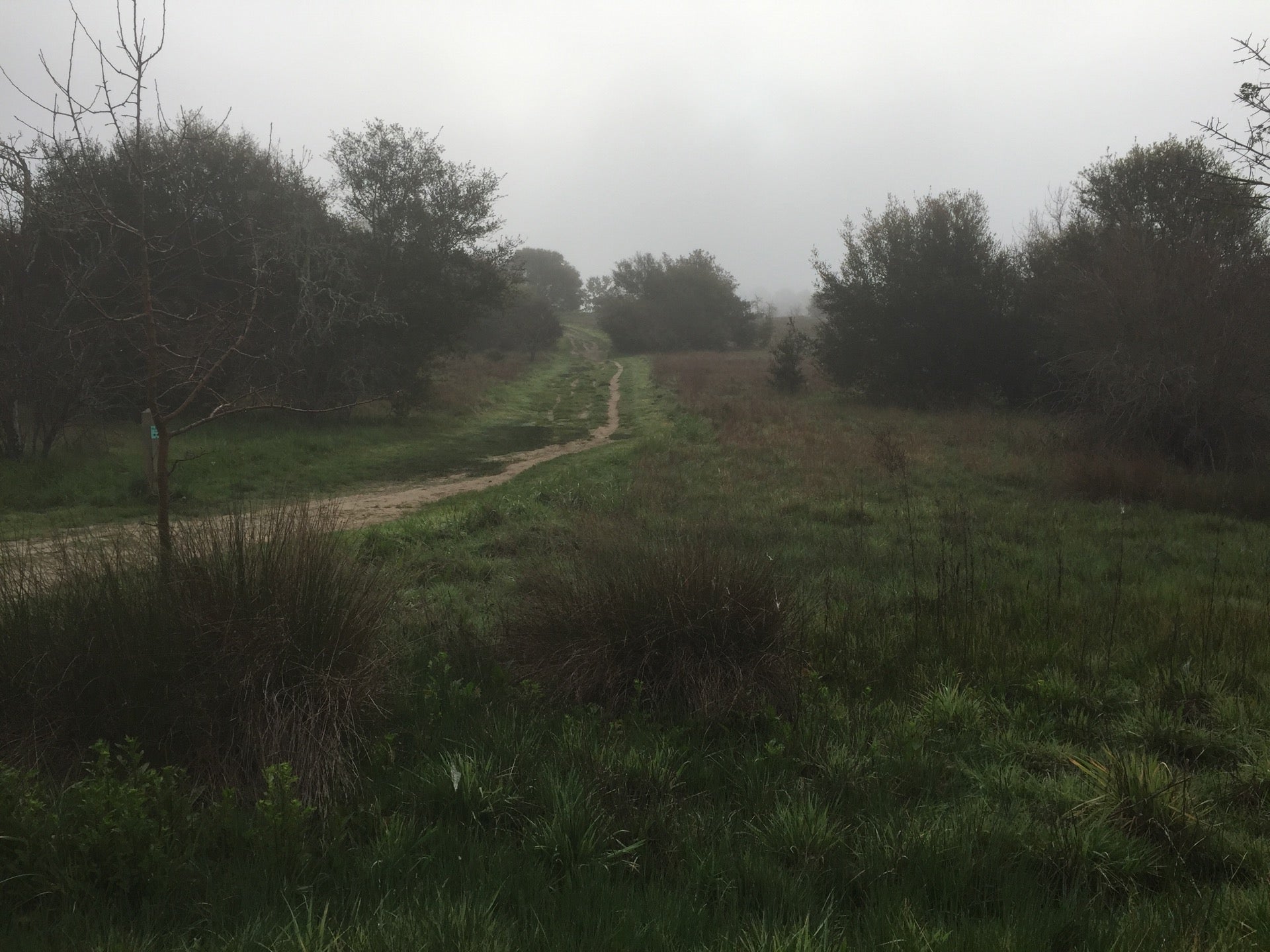 Ragle Ranch Regional Park, 500 Ragle Rd, Sebastopol, CA, Playgrounds ...