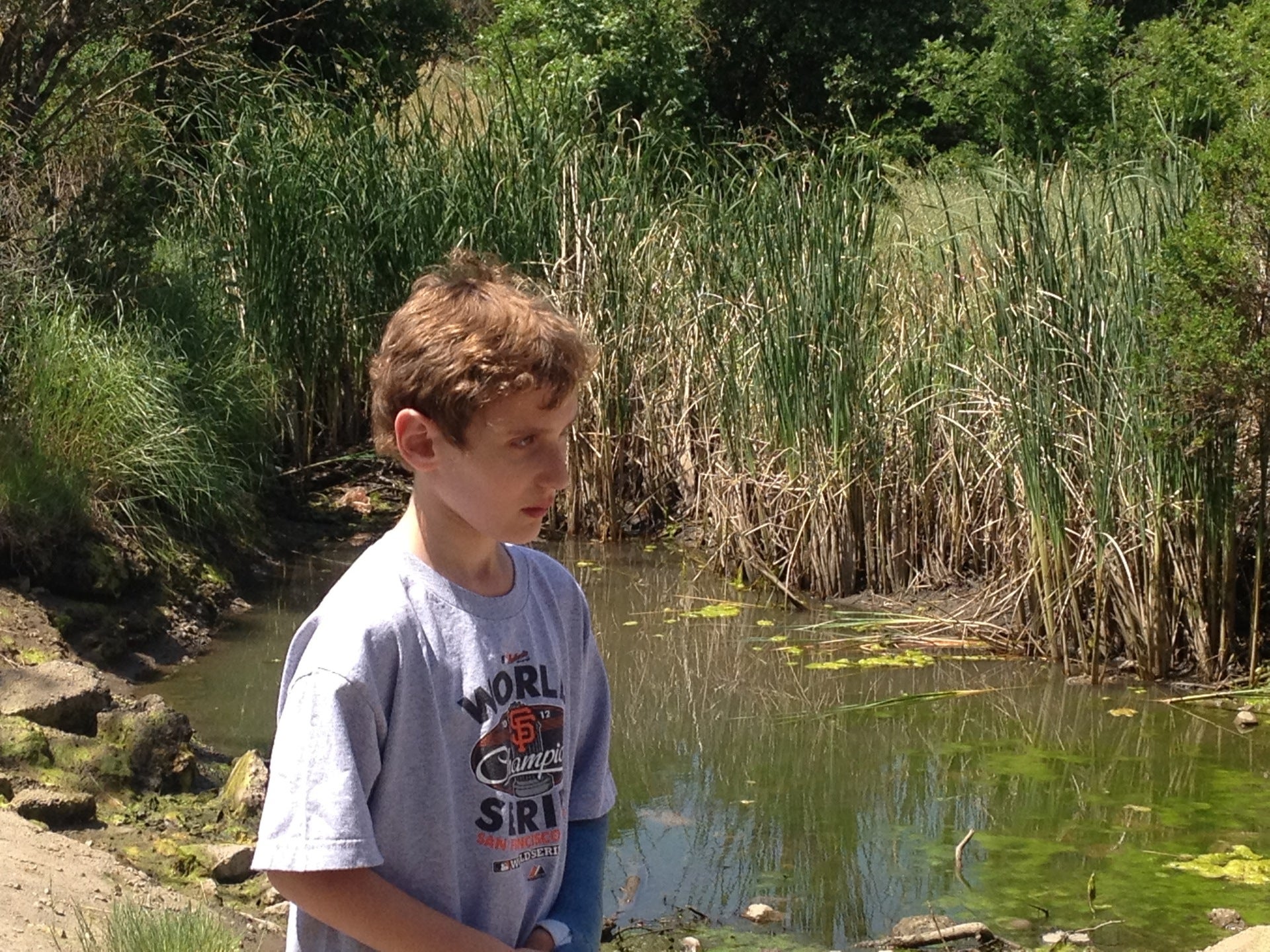 Newhall Community Park, 1351 Newhall Pkwy, Concord, CA, Parks - MapQuest