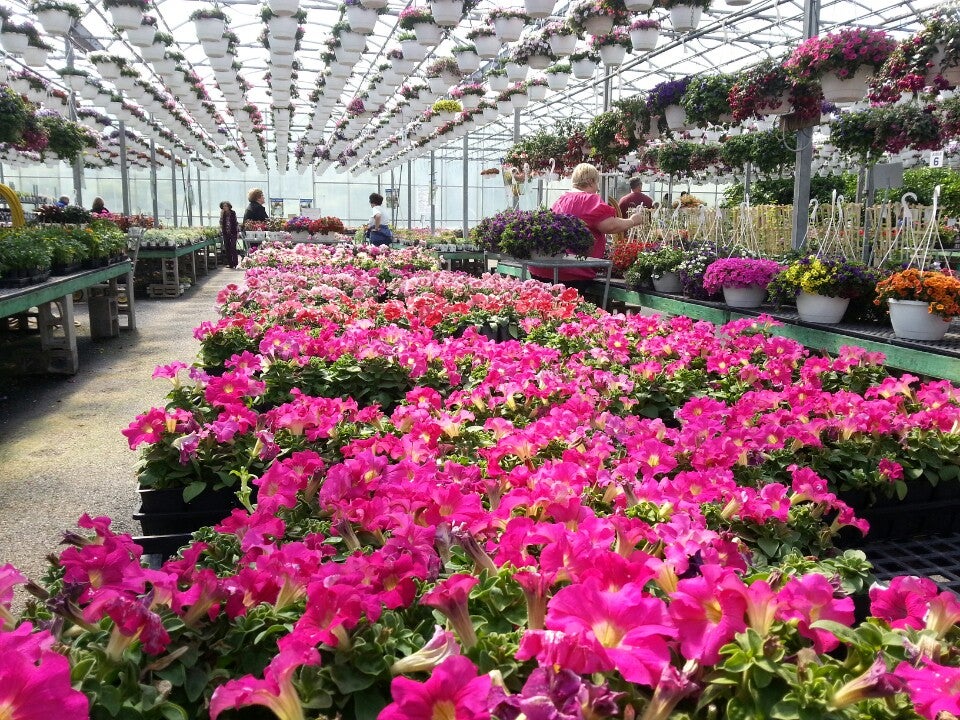 Donald Spoth Farm & Greenhouse, 2715 Tonawanda Creek Rd, Buffalo, NY ...