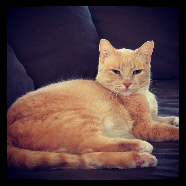 Ruskin Dam, Hayward St, Mission, BC - MapQuest