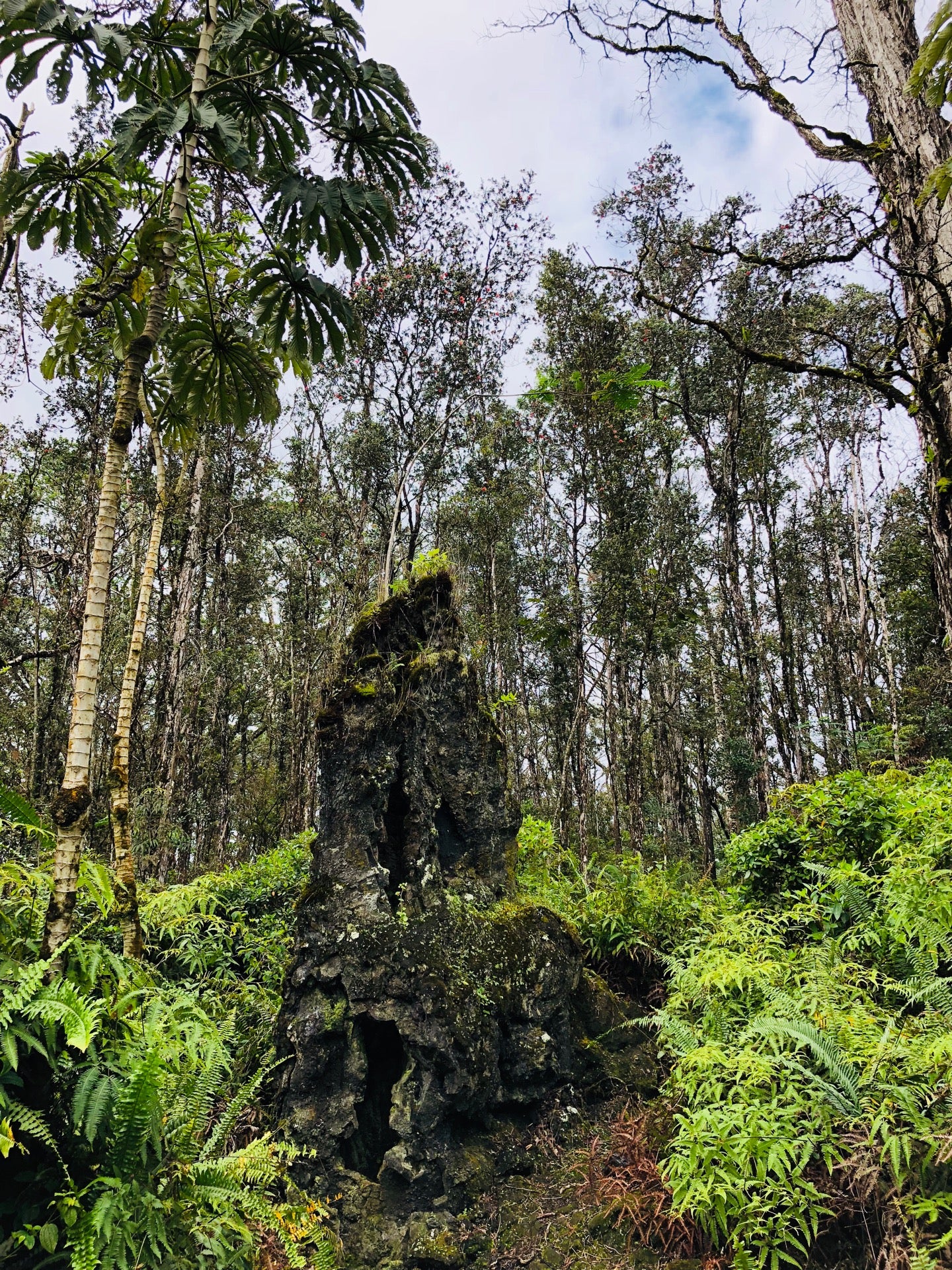 Pahoa, HI Map & Directions - MapQuest