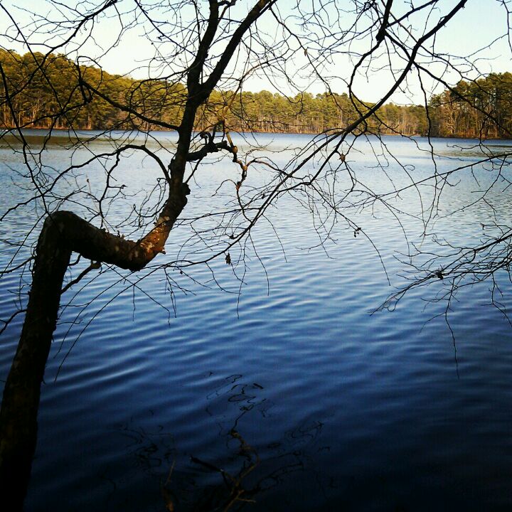 Lake Johnson Nature Park, Avent Ferry Rd, Raleigh, NC - MapQuest