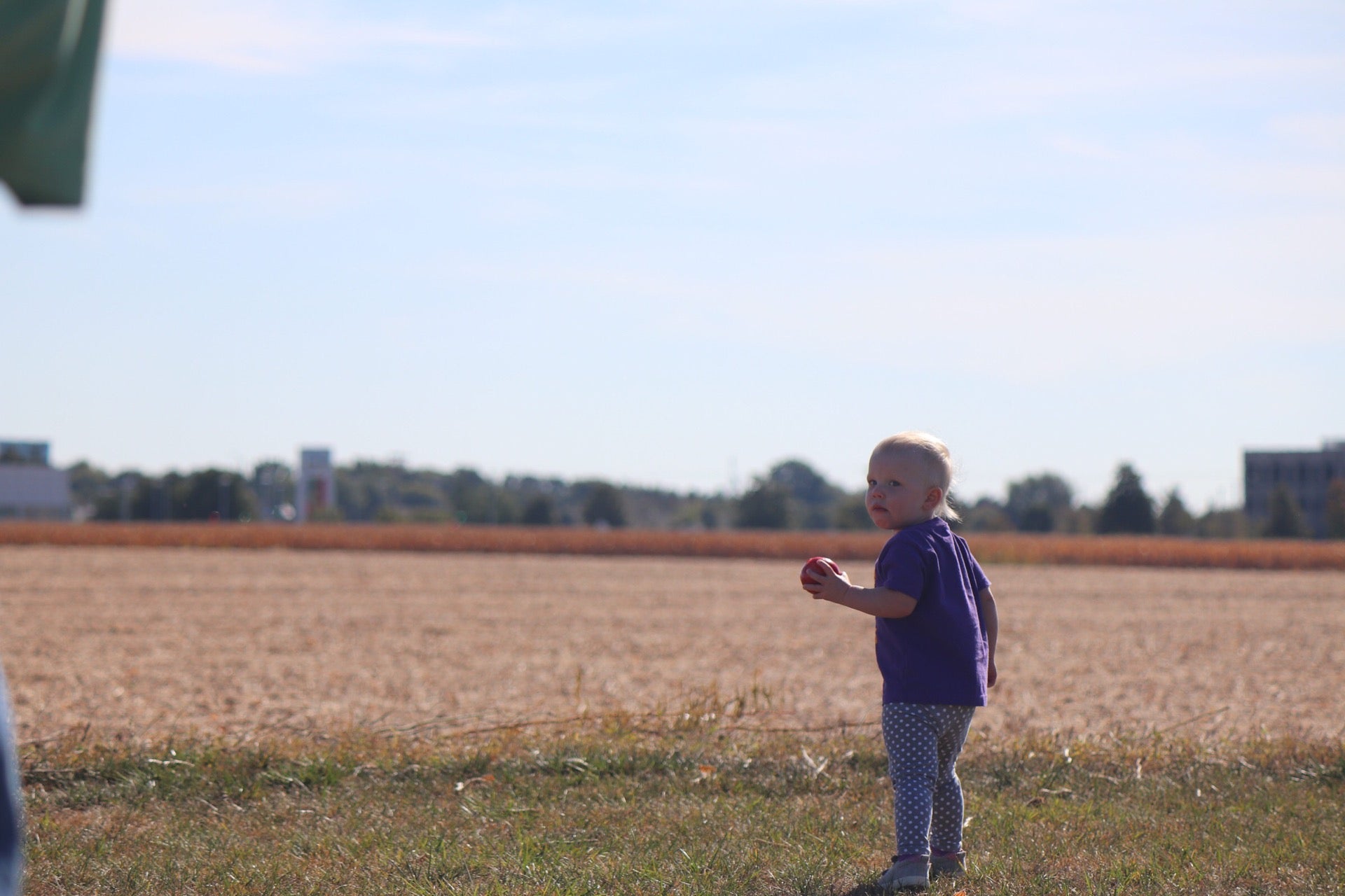 Kincaid, IL Map & Directions - MapQuest