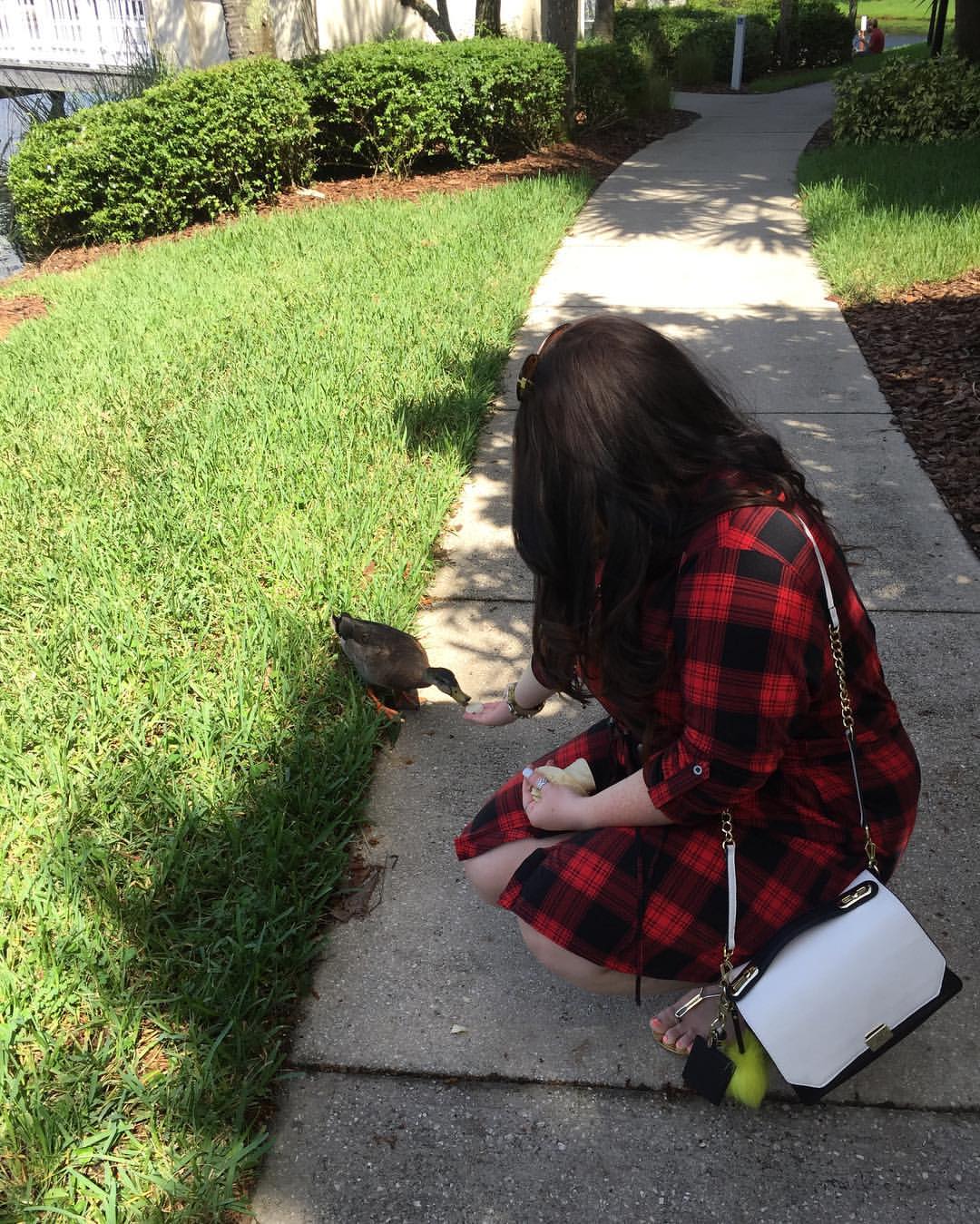 Sheraton Vistana Villages Resort Villas, I-Drive/Orlando, 12401 ...