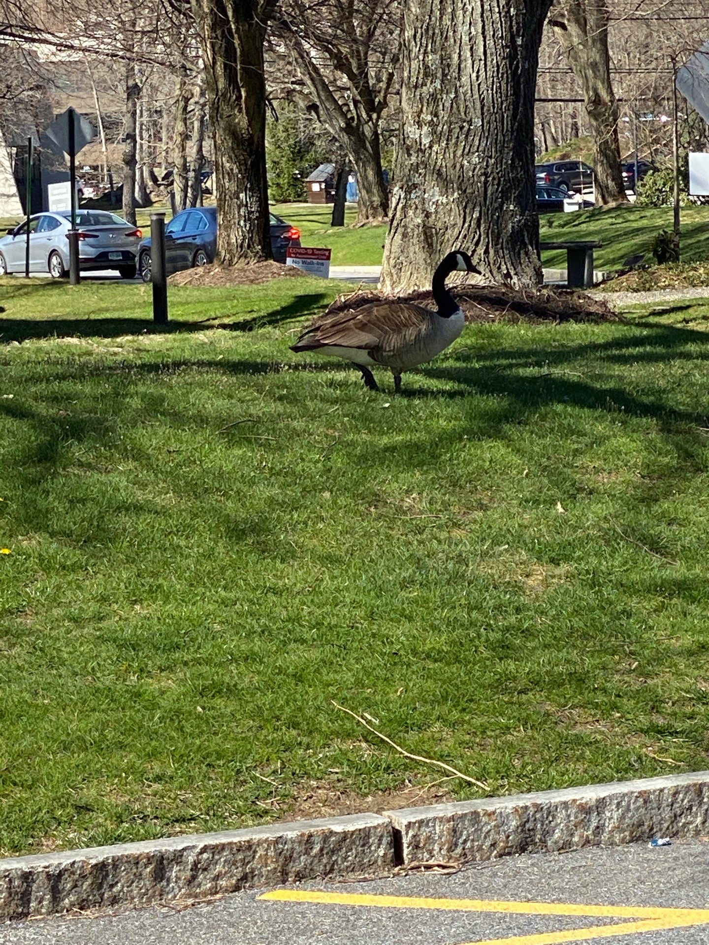 Mount Kisco, NY Map & Directions - MapQuest