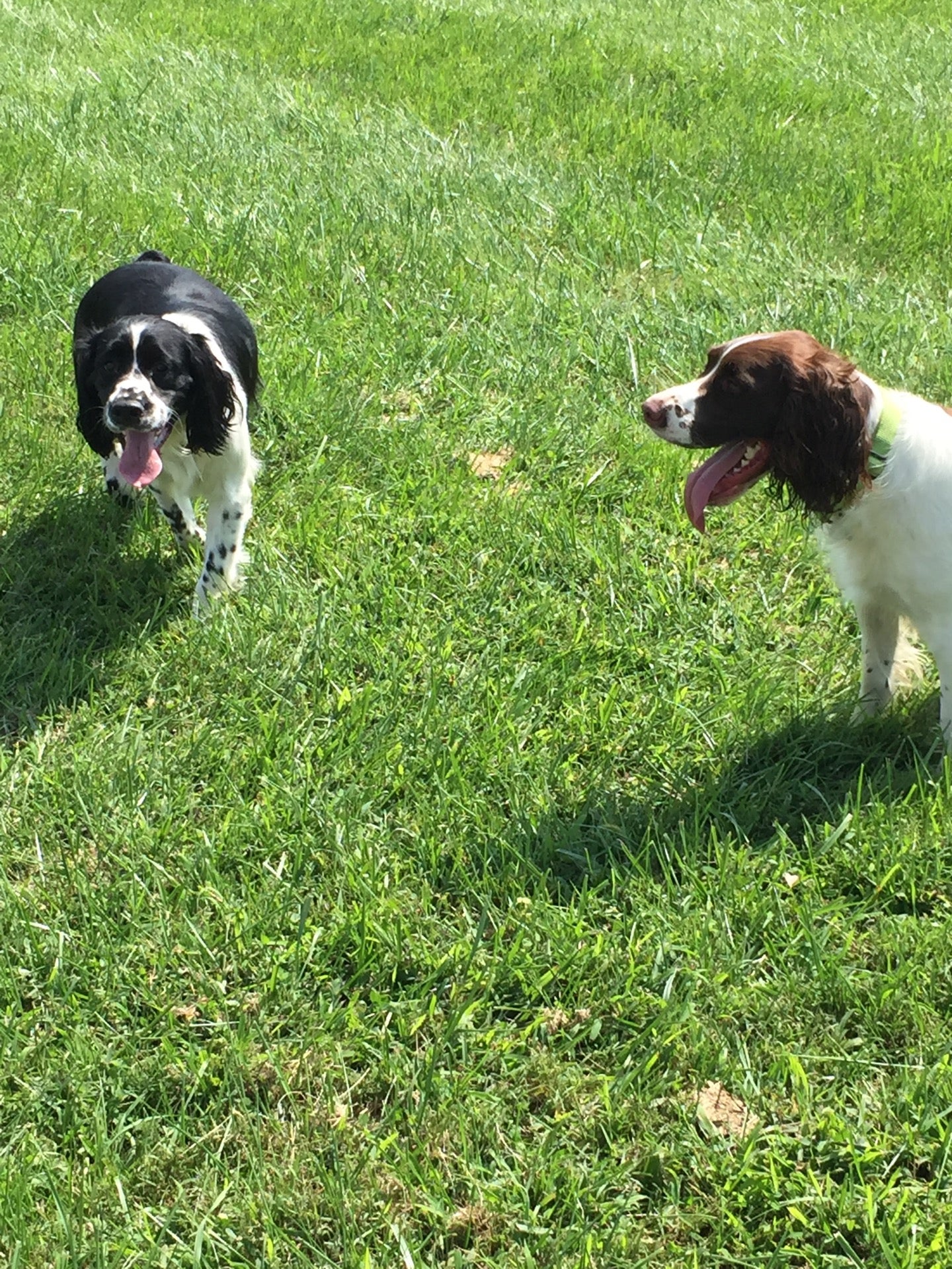 Lutherville Timonium, MD Map & Directions - MapQuest