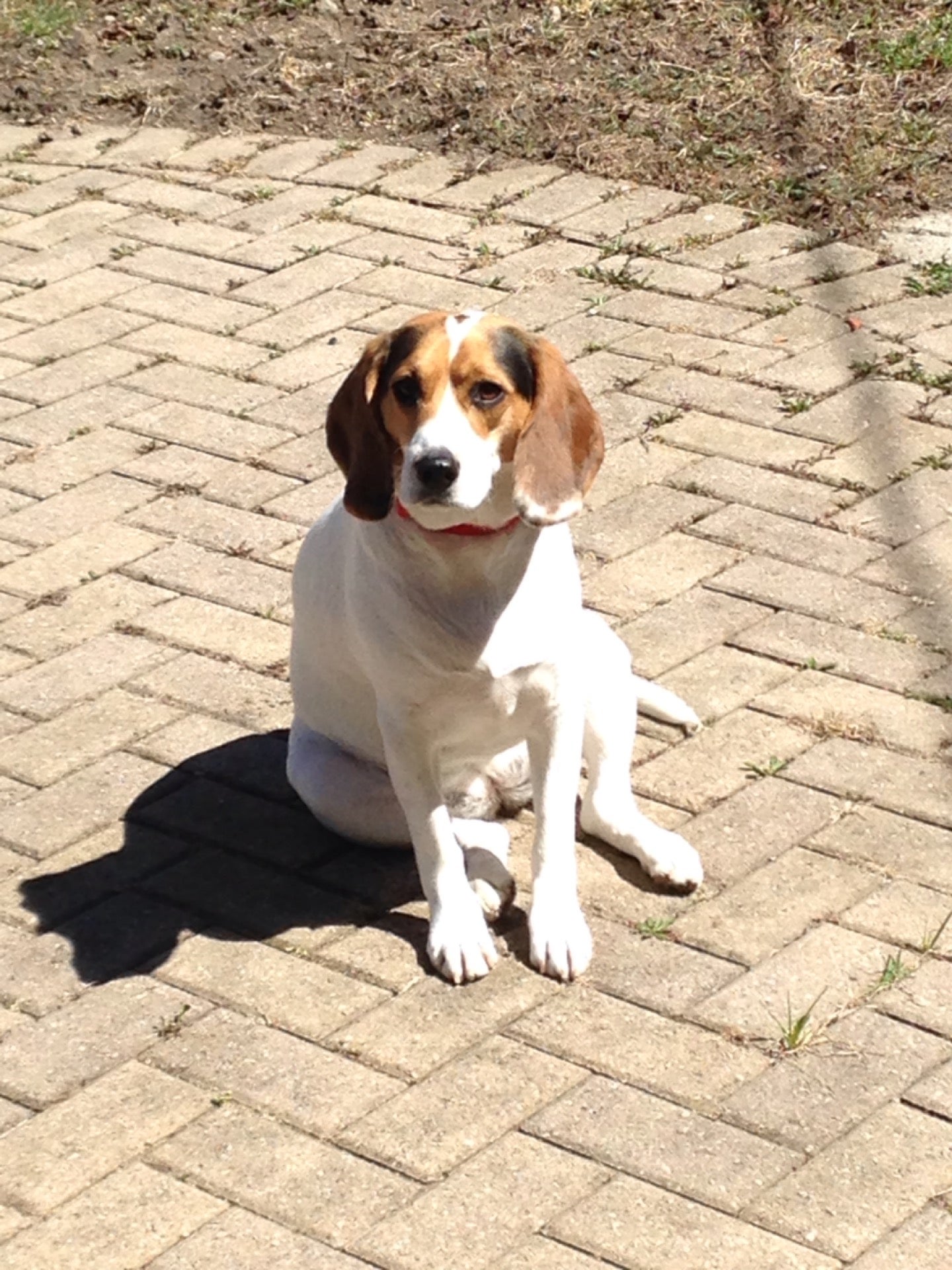 Mary Ann Sills Park, 140 Palmer Rd, Belleville, ON - MapQuest